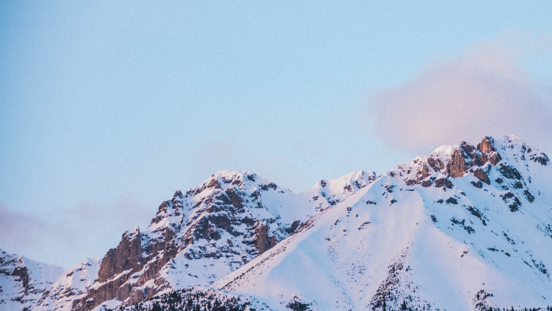 Collection_Pages-13.png?v=1726421019